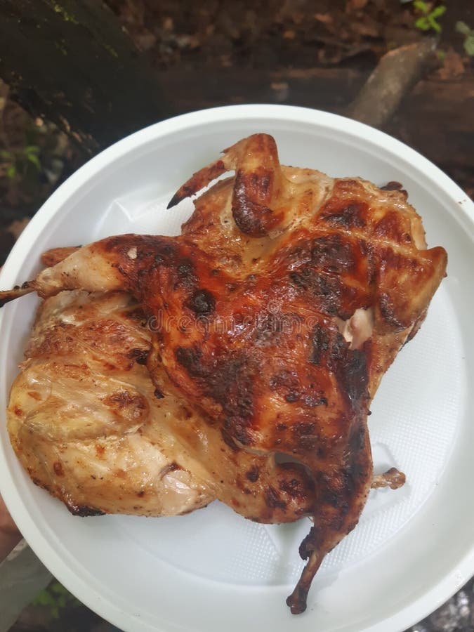 Roast Quail on a Plate. Summer and Roast Quail in the Woods. Stock ...