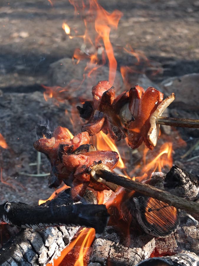 Roast Sausages Over A Fire In The Wild. Stock Photo - Image of burned ...