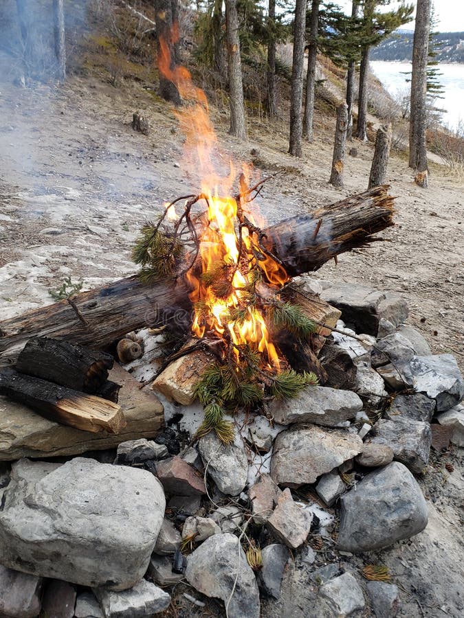 Roast toasty campfire stock image. Image of woodland - 257664263