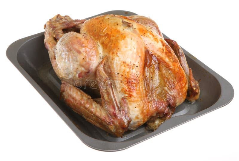 Roast Turkey stock photo. Image of white, turkey, meat - 11628258