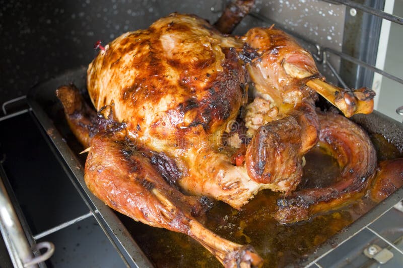 Turkey hotel stock photo. Image of hotel, roast, isolated - 7065924