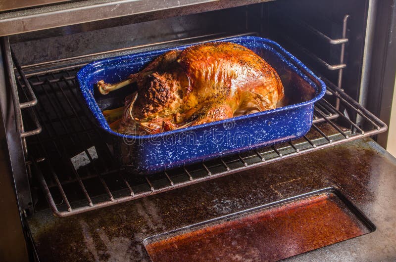 Roast Turkey Coming Out of the Oven Stock Photo - Image of feast, herb ...