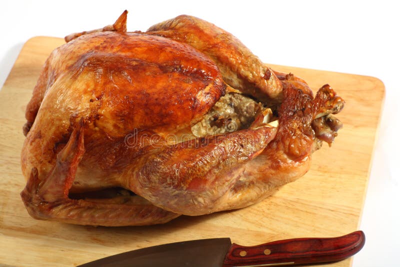 Roast Turkey High Angle View Stock Photo - Image of fowl, christmas ...