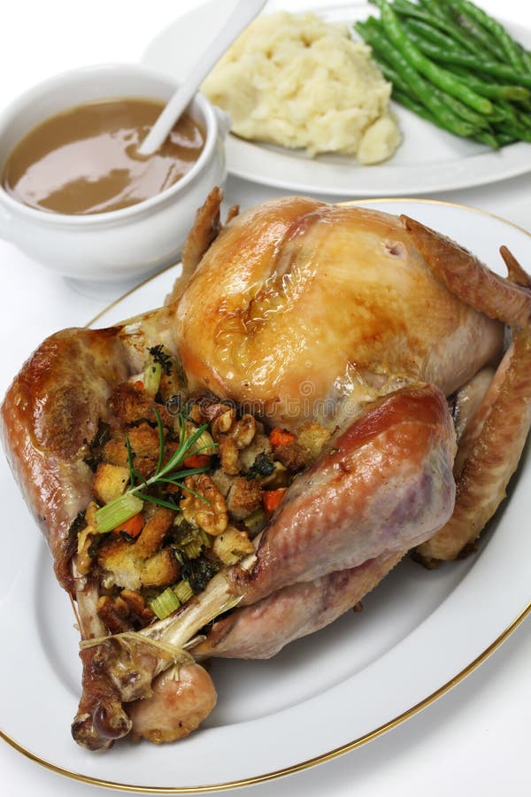 Turkey with Stuffing & Gravy Stock Photo - Image of gravy, supper: 341664