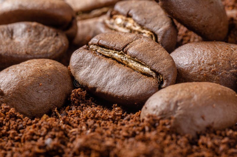 Roasted Arabica Beans Close-up on a Dark Background. Stock Photo ...