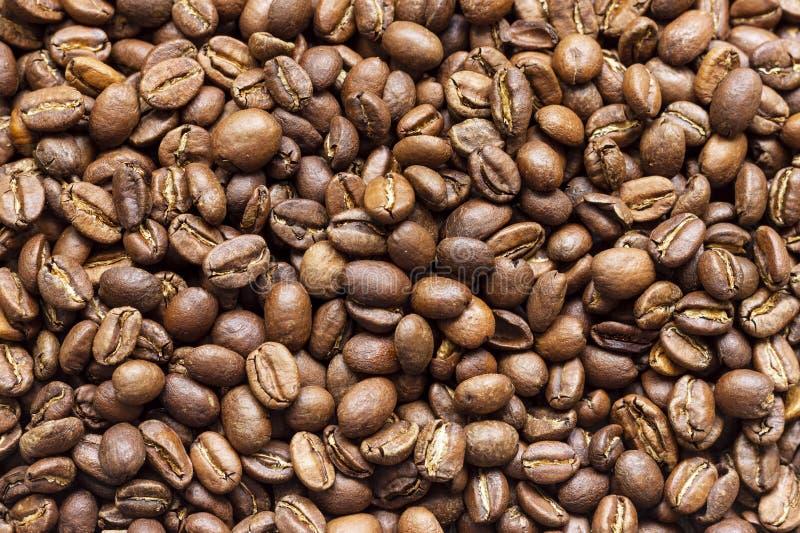 Roasted Arabica Coffee Beans Stock Photo - Image of blend, gourmet ...