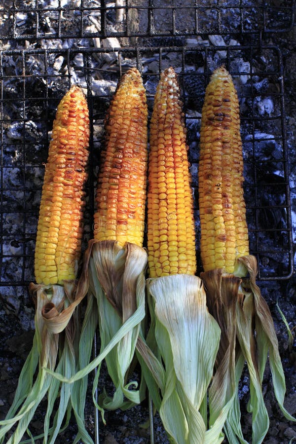 Roasted barbecue corn stock image. Image of harvest, agriculture - 57464441