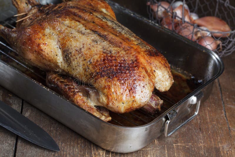 Roasted Barbery Duck stock image. Image of fowl, lunch - 29205283