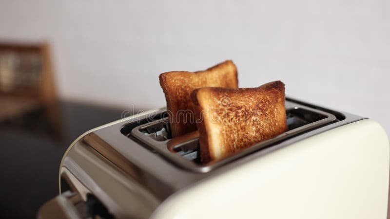 Roasted Bread in White Toaster. Two Delicious and Toaster Toasts Stock ...