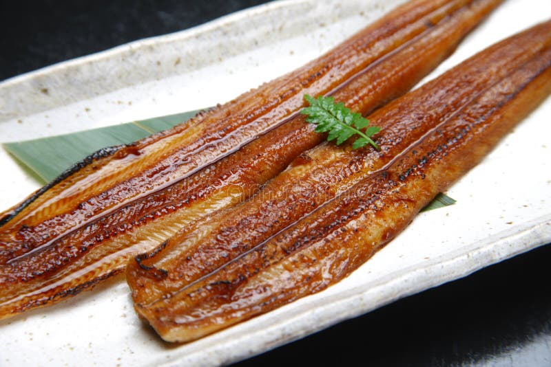 Broiled Eels Japanese Food Grilled Eel with Soy Sauce Shop Sell Stock ...