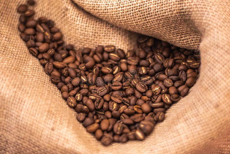 Roasted Brown Coffee Beans or Seeds in a Jute Sack Stock Image - Image ...
