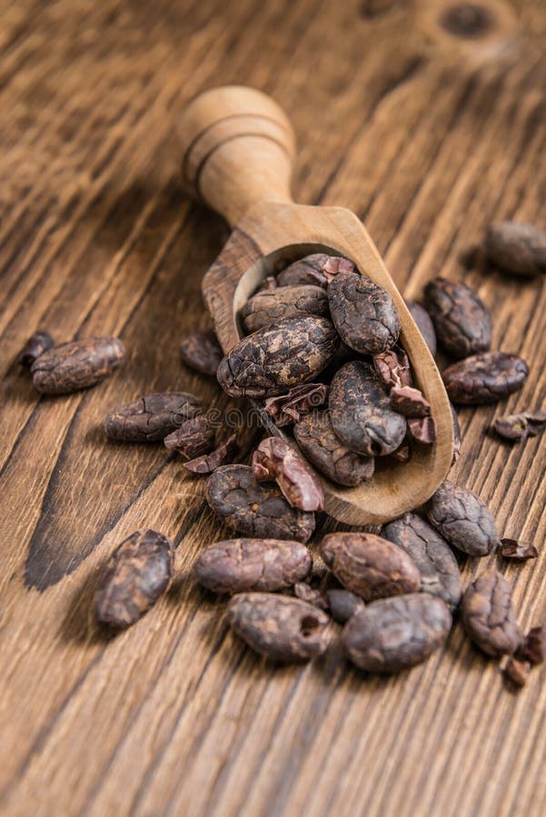 Roasted Cacao Beans stock image. Image of natural, bean - 69611379