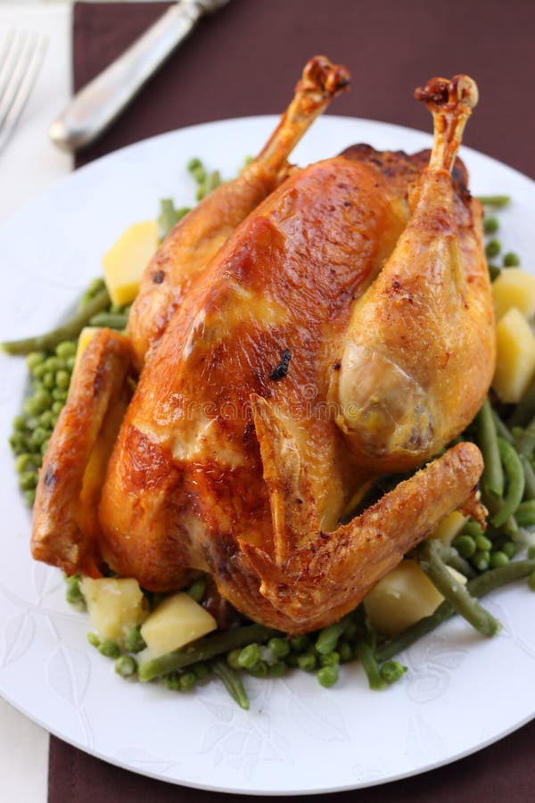 Roasted capon stock photo. Image of diet, food, baked - 22689526