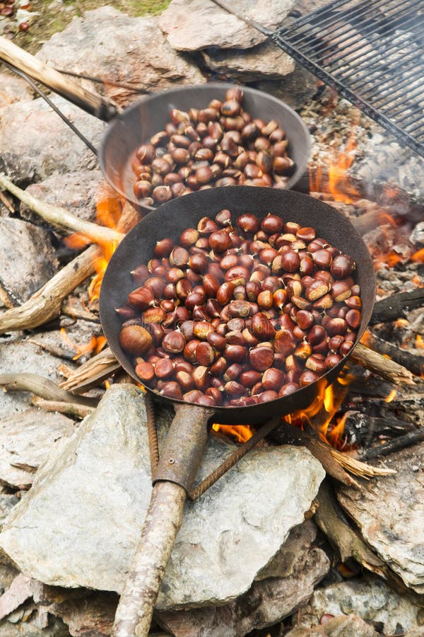 Roasted chestnut stock photo. Image of food, snack, roasted - 60733242