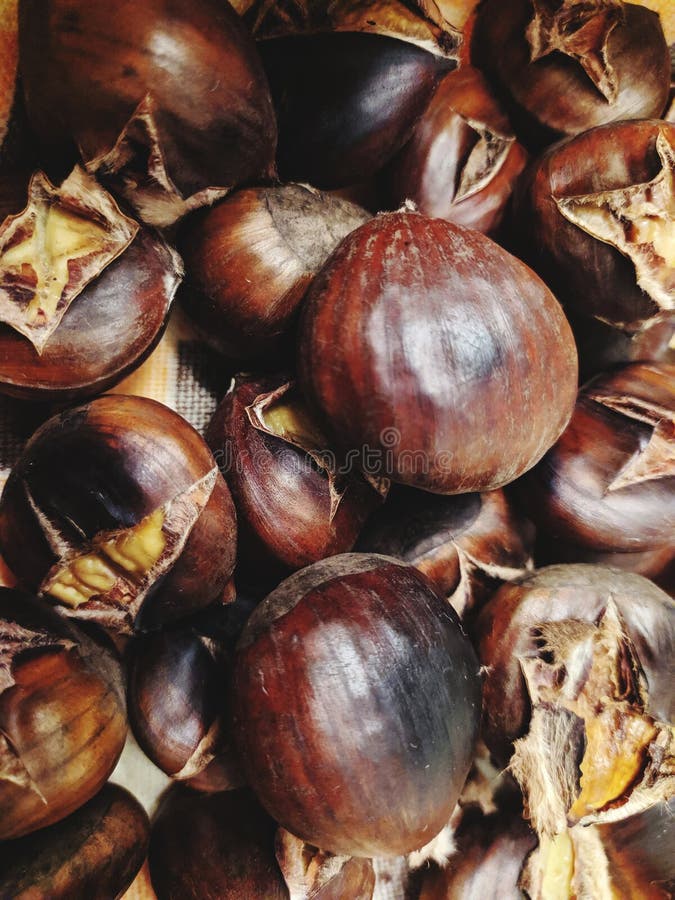 Roasted Chestnut, Fullframe Stock Photo - Image of closeup, chestnut ...