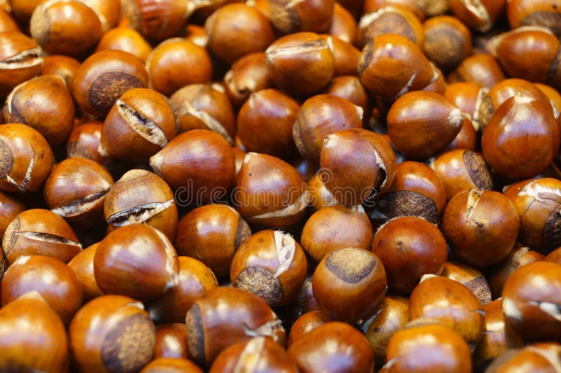 Roasted chestnut stock image. Image of pile, superfood - 49444031