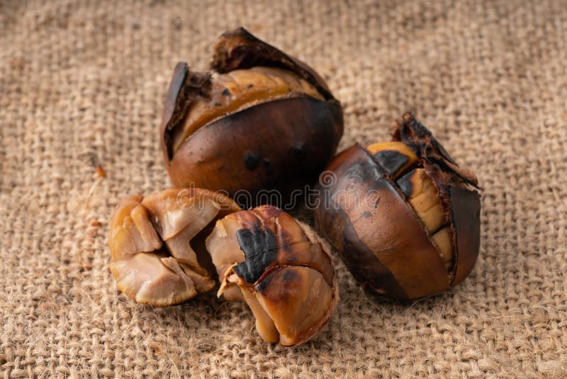 Roasted Chestnut with Shell Stock Photo - Image of chestnuts, healthy ...