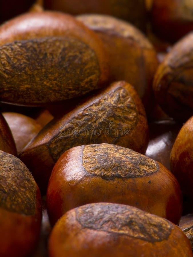 Roasted chestnuts stock image. Image of closeup, brown - 20934881