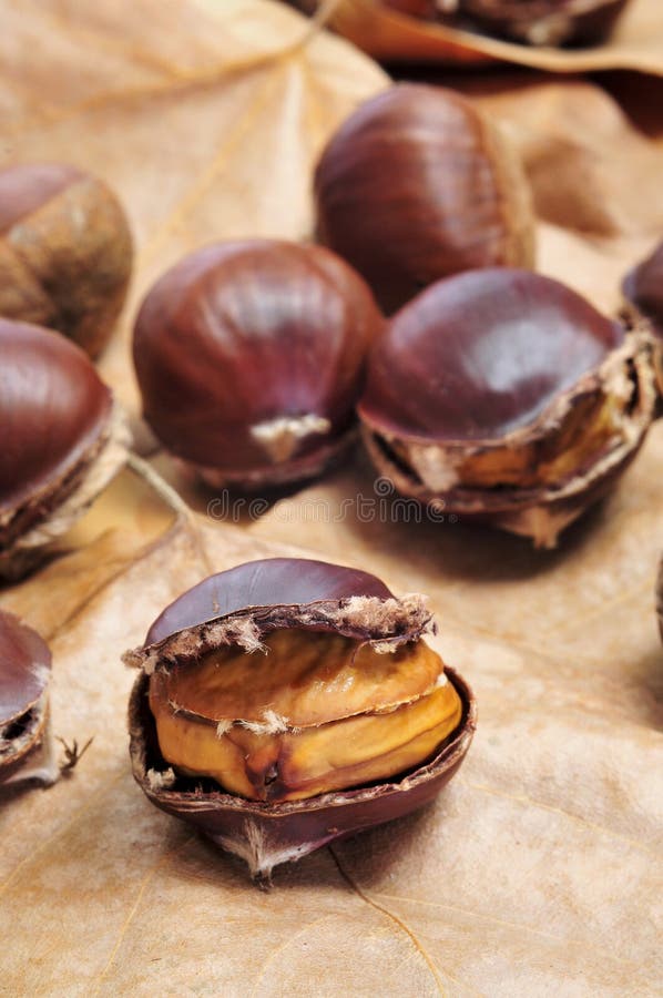 Roasted chestnuts stock photo. Image of chestnut, snack - 13348664