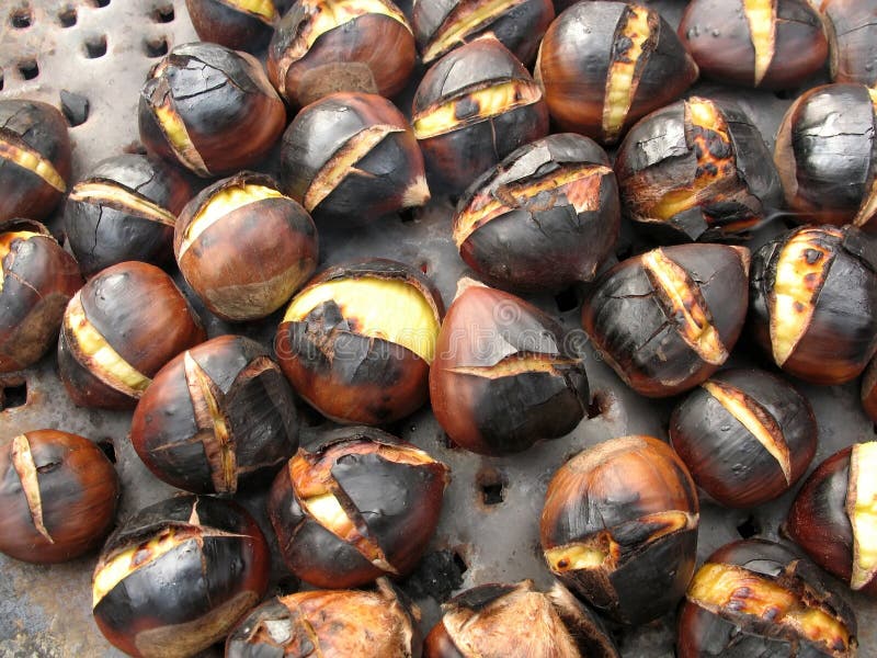 Roasted chestnuts stock image. Image of healthy, vegetable - 4064025
