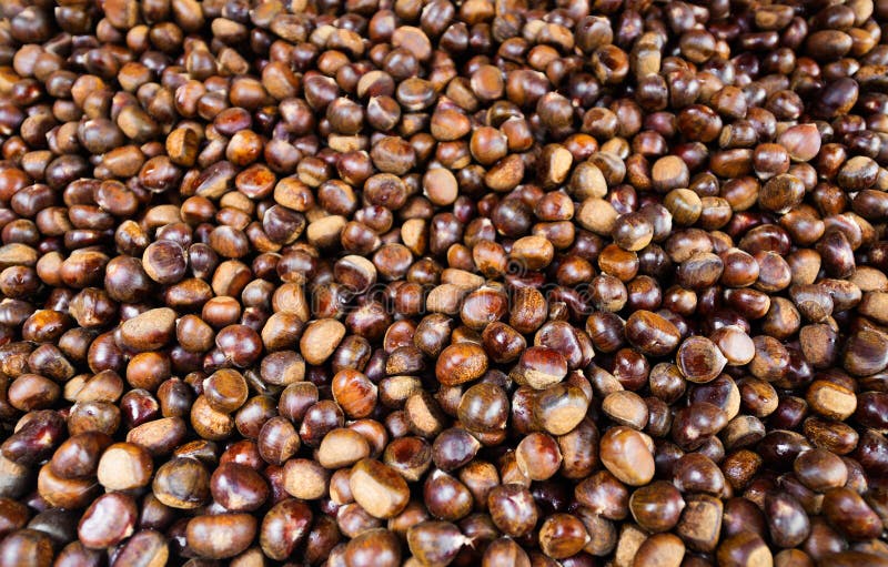 Roasted chestnuts stock photo. Image of chestnuts, roast - 68345088