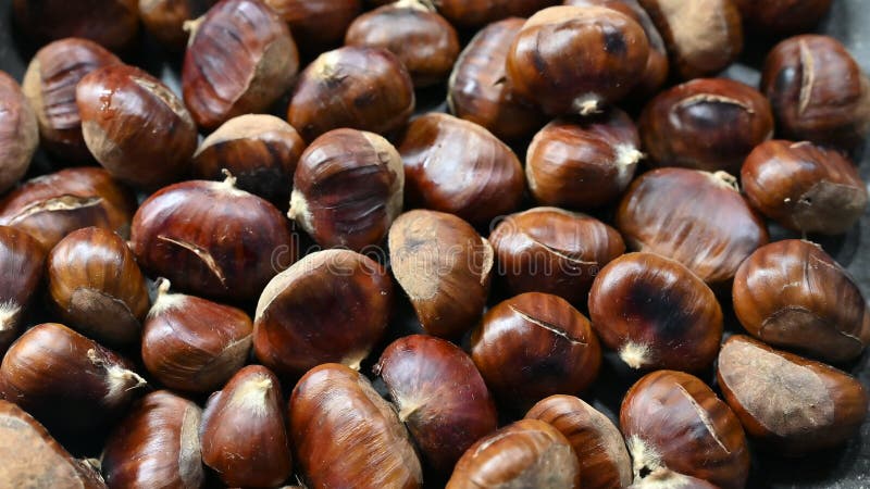 Roasted chestnuts stock footage. Video of white, food - 345391830