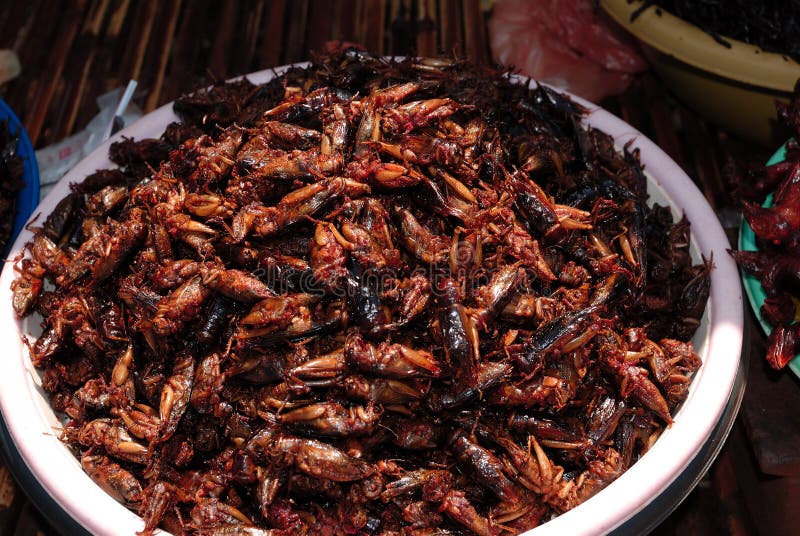 Roasted Cockroaches Royalty Free Stock Photos - Image: 11052728