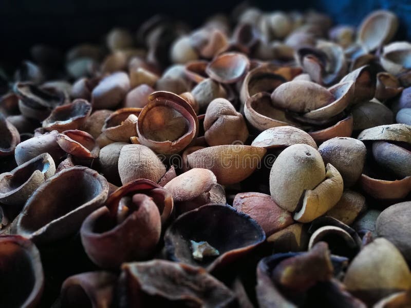 Roasted Coconut Copra Food Background Stock Photos - Free & Royalty ...