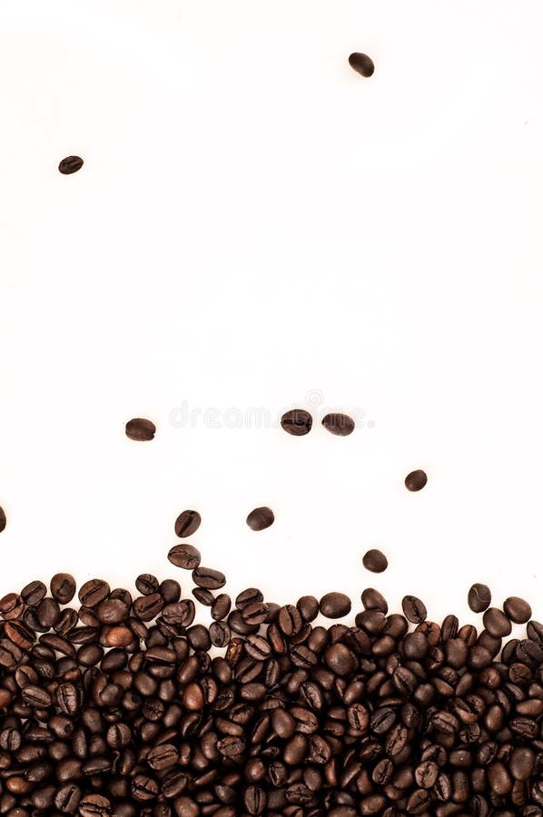 Roasted Coffee Bean Bottom Border White Background Stock Photos - Free ...