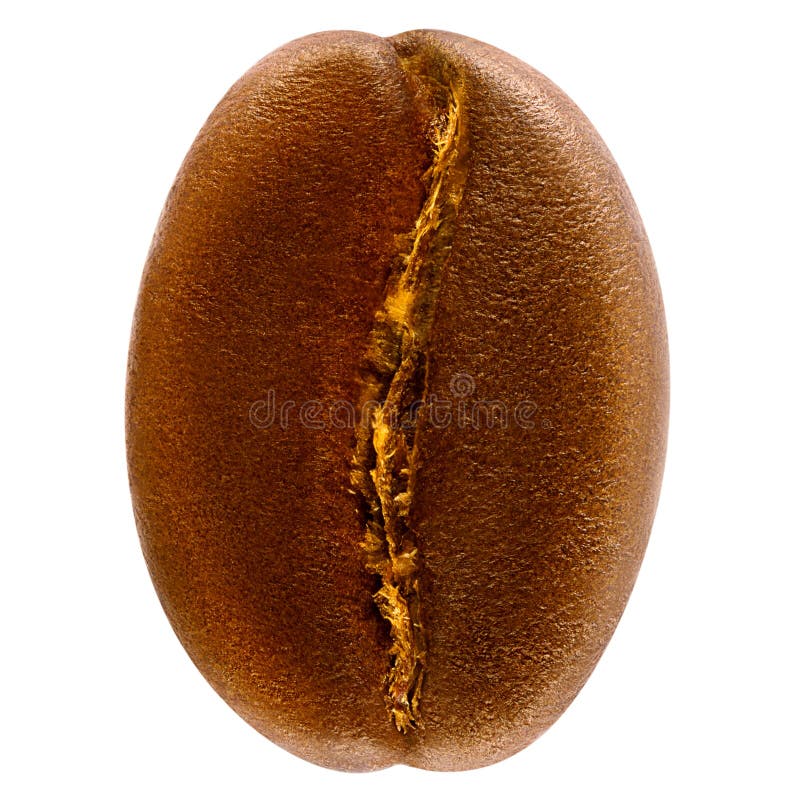 Two Shiny Fresh Roasted Coffee Beans with Leaves. Stock Image - Image ...