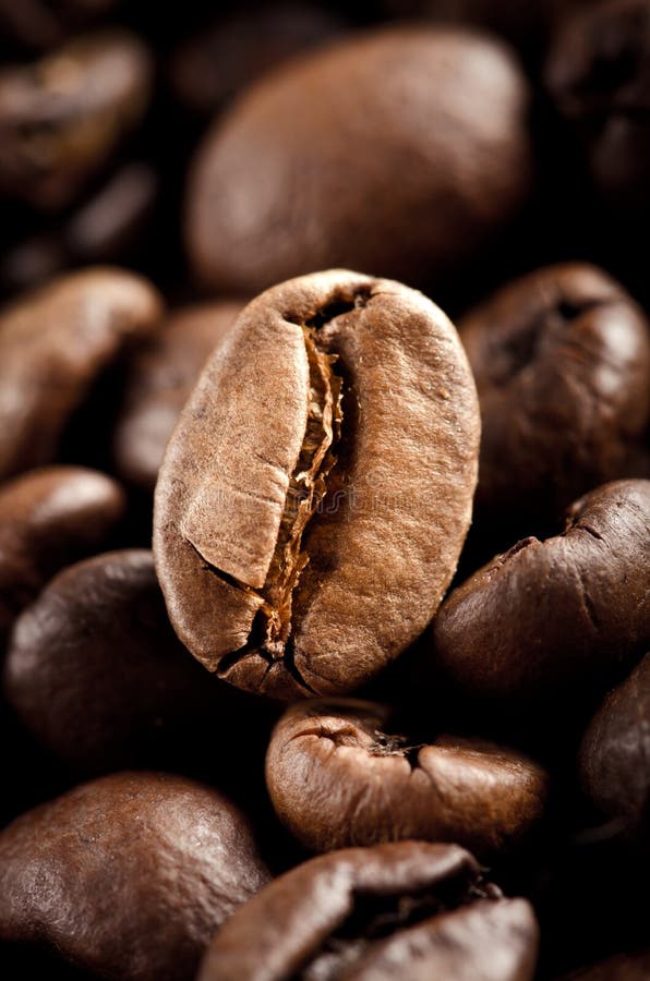 Roasted coffee beans stock photo. Image of exotic, beans - 24164458