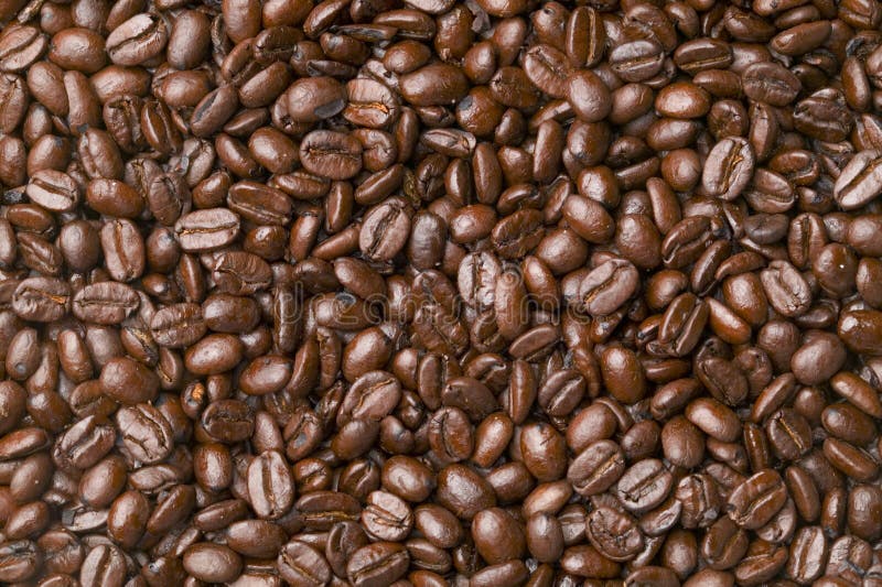 Roasted Coffee Beans stock photo. Image of delicious, element - 586368