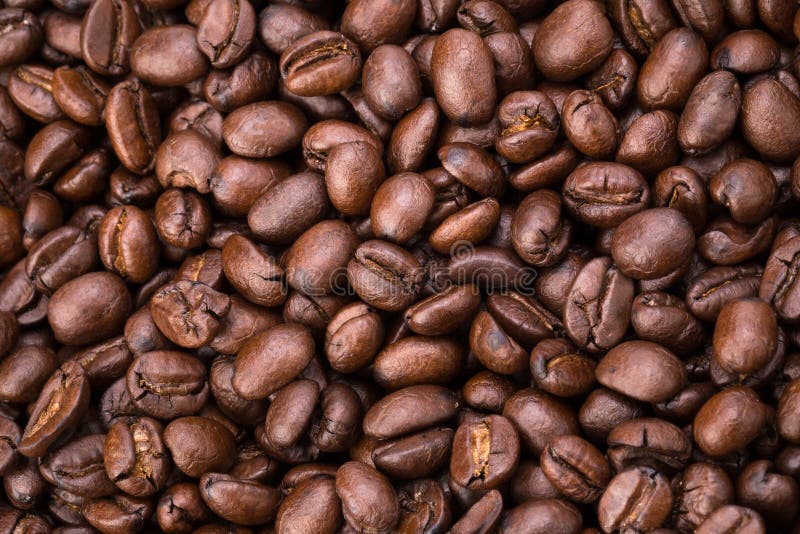 Roasted coffee beans stock photo. Image of flavored, roasted - 71343346