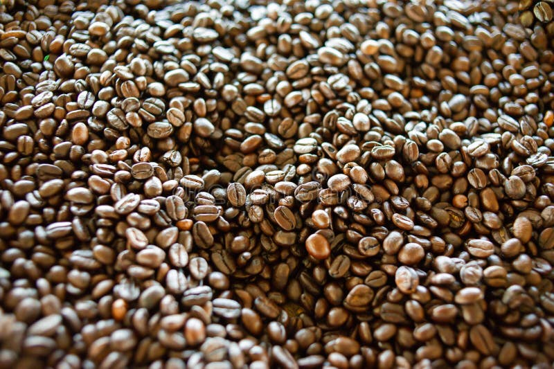 Roasted coffee beans stock photo. Image of heap, handful - 187750970