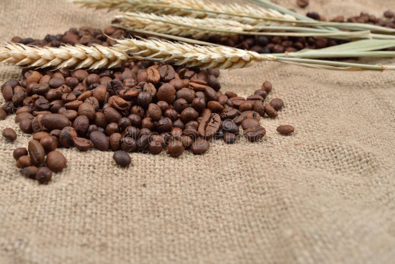 Roasted Coffee Beans on Brown Jute Background, with Several Threads of ...