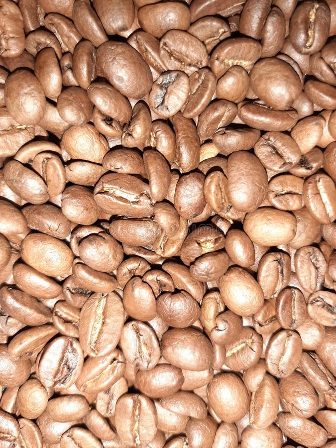Roasted coffe beans stock photo. Image of coffee, potasi - 168801396