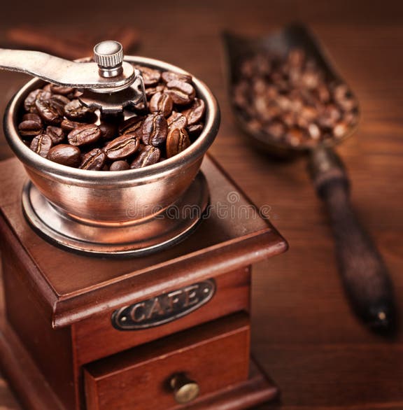 Roasted Coffee Beans in a Coffee Grinder. Stock Photo - Image of scoop ...