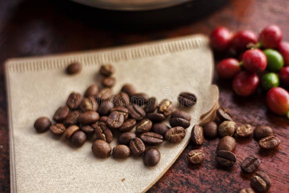 Roasted Coffee Beans on Filter â€ from Cherry To Brew Stock Photo ...