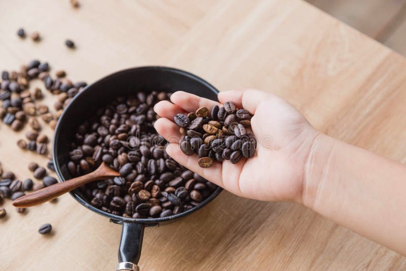 .Roasted Coffee Beans in Hand Stock Photo - Image of concept, brown ...