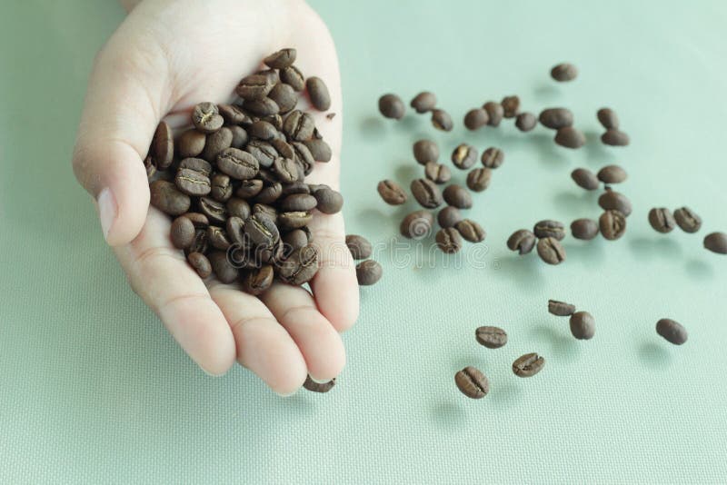 Roasted Coffee Beans in Hand. Stock Photo - Image of aromatic, crop ...