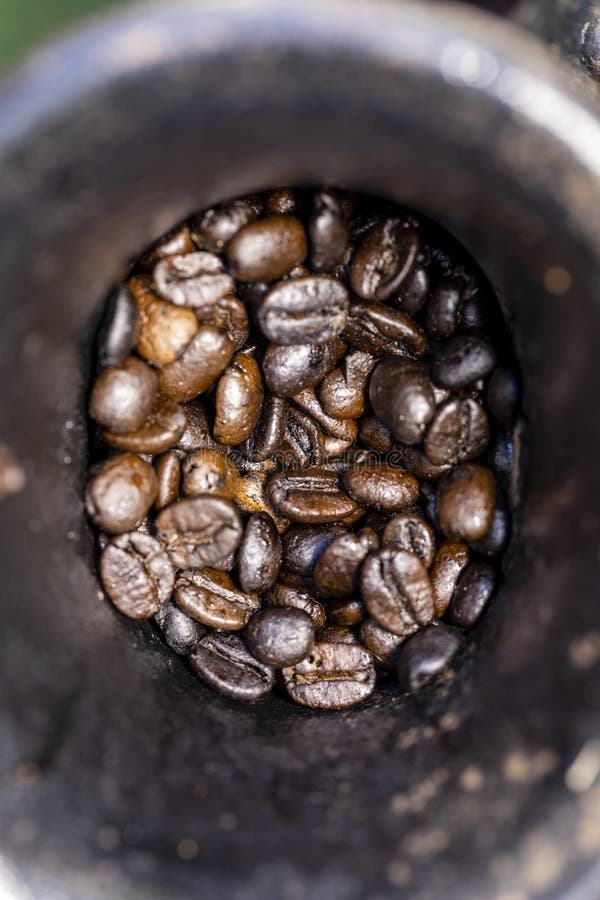 Roasted Coffee Beans Inside in the Manual Grinder Stock Photo - Image ...