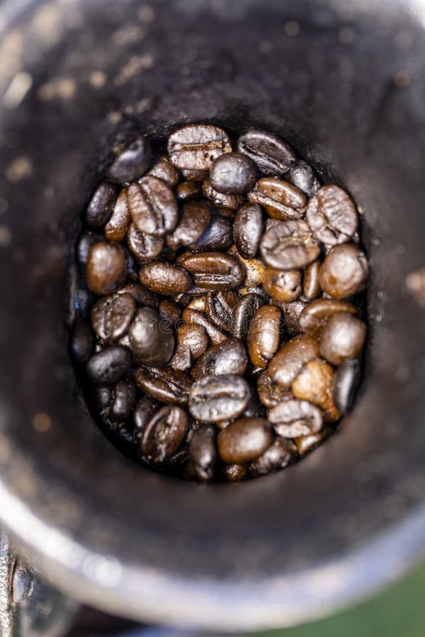 Roasted Coffee Beans Inside in the Manual Grinder Stock Photo - Image ...
