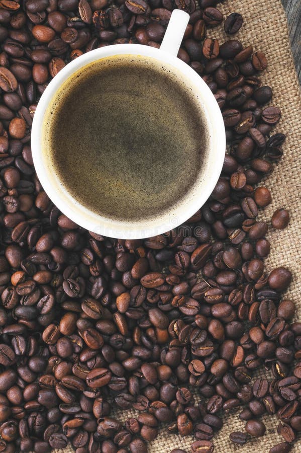 Roasted Coffee Beans on Jute. Coffee Mug Stock Photo - Image of drinks ...