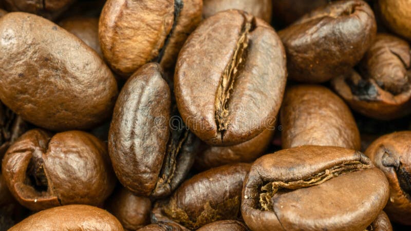 Roasted Coffee Beans Macro Photo. Background or Texture Stock Image ...