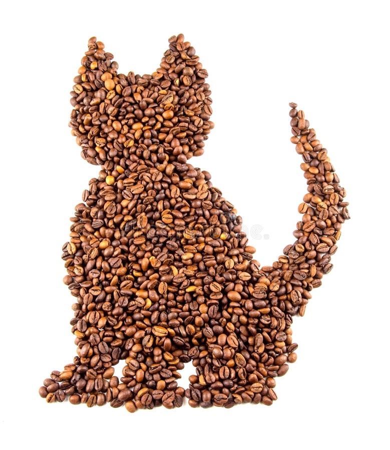 Roasted Coffee Beans Placed in the Shape of a Cat Stock Photo - Image ...