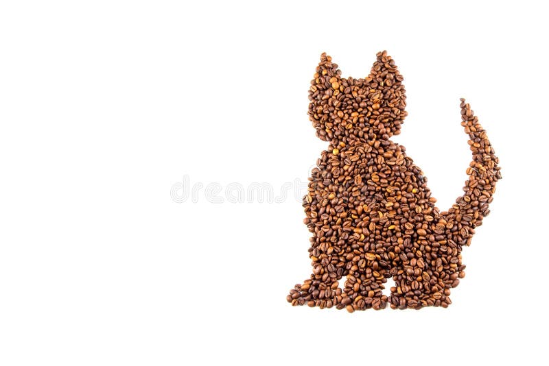 Roasted Coffee Beans Placed in the Shape of a Cat Stock Photo - Image ...