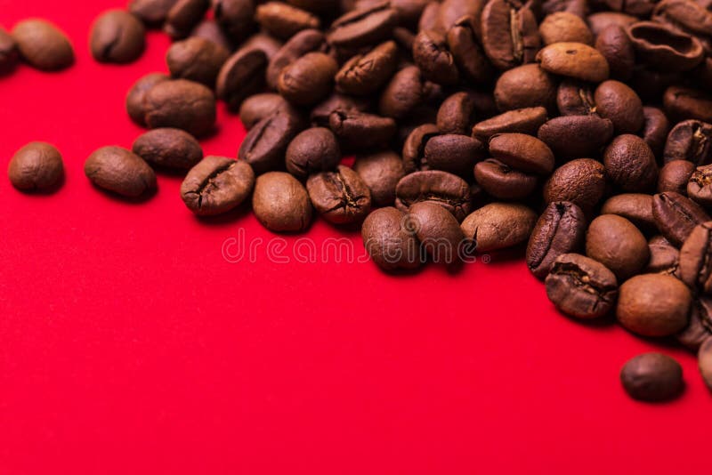Roasted Coffee Beans on Red Background. Color Surge Trend Stock Image ...