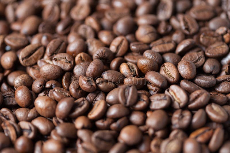 Roasted Coffee Beans Shallow Focus Stock Photo - Image of focus, drink ...