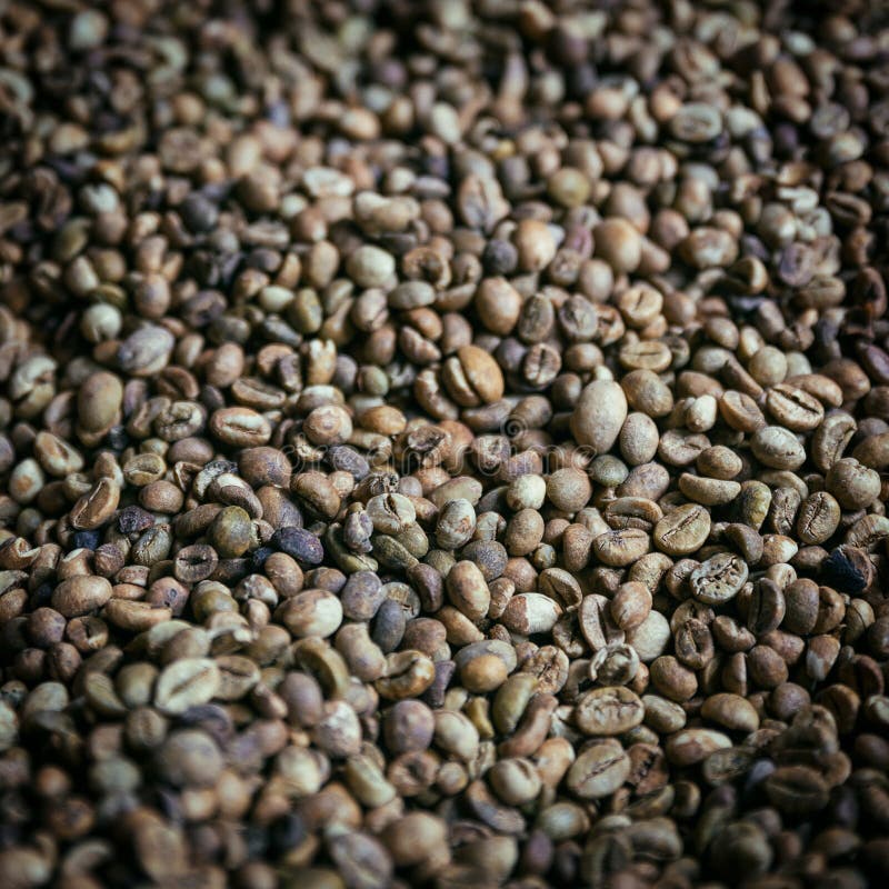 Roasted Coffee Beans Square Abstract Background Image Stock Photo ...