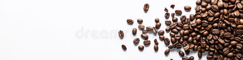 Roasted Coffee Beans on White Background Banner Stock Illustration ...